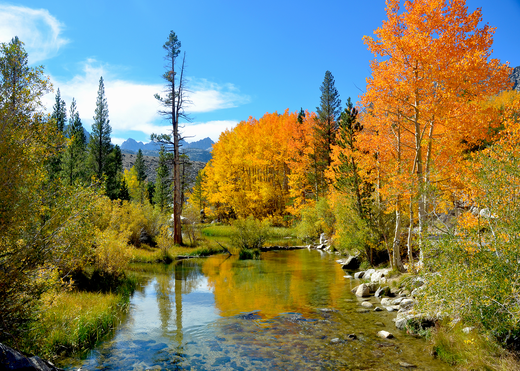 Eastern Sierra At Full Peak Go Now California Fall Color
