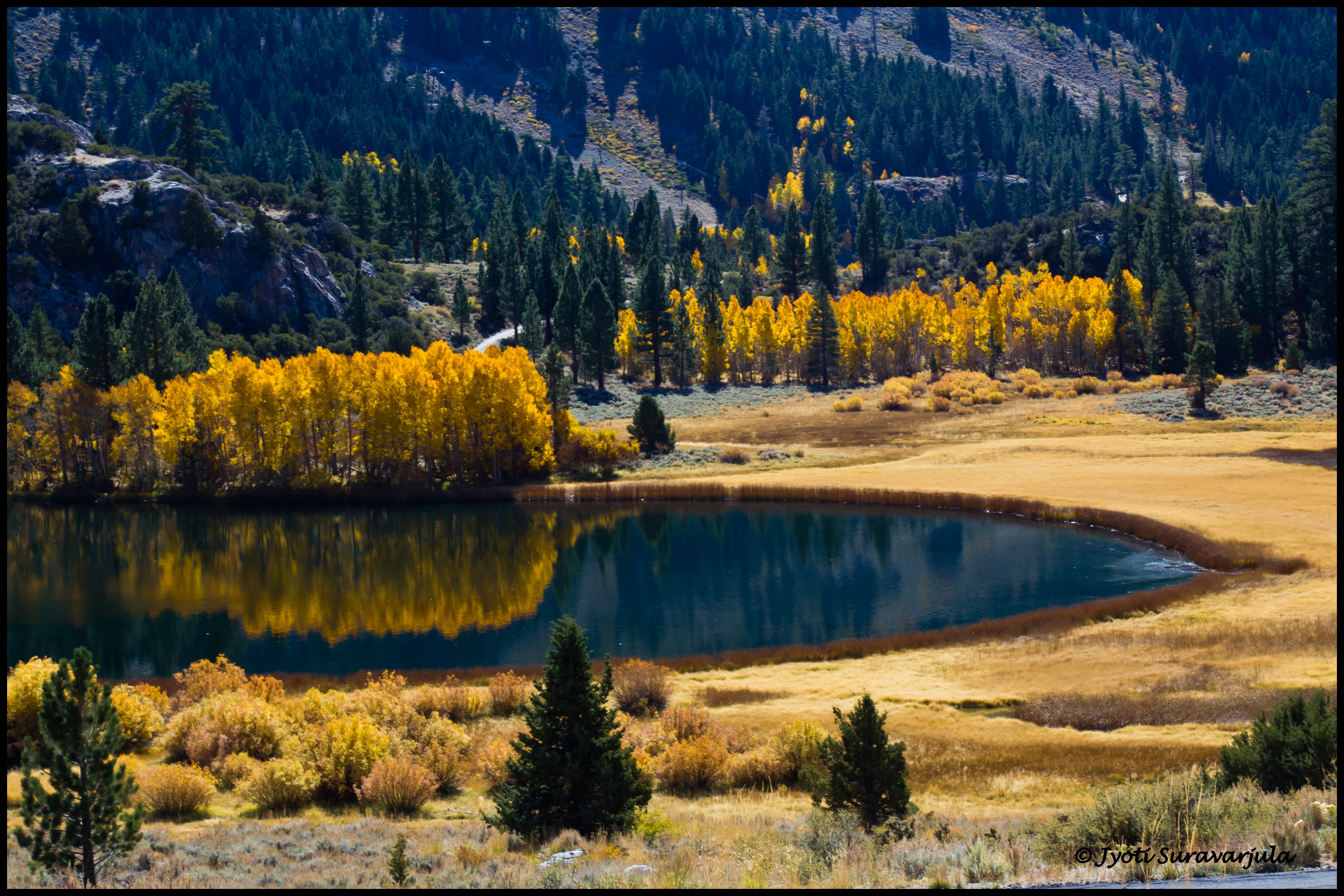 Gull Lake Remembered – California Fall Color