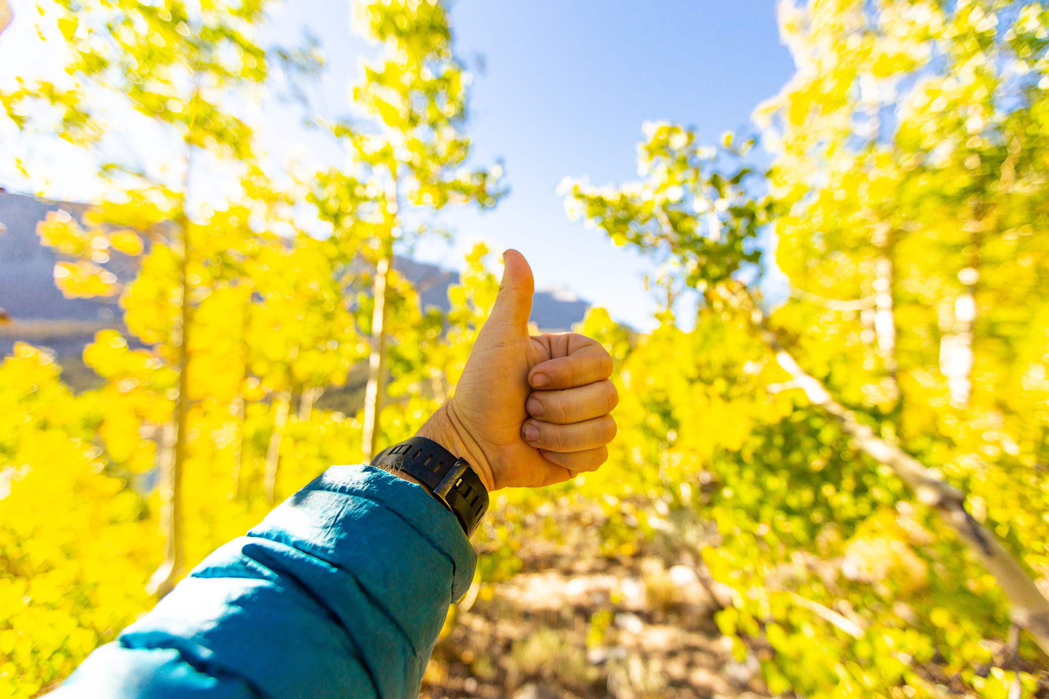 Good To Go – California Fall Color