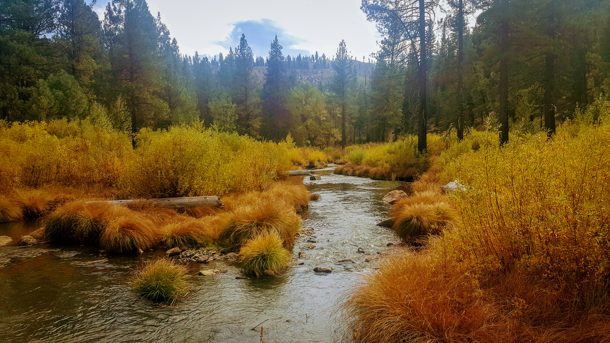 Antelope Lake Autumn Perfection – California Fall Color