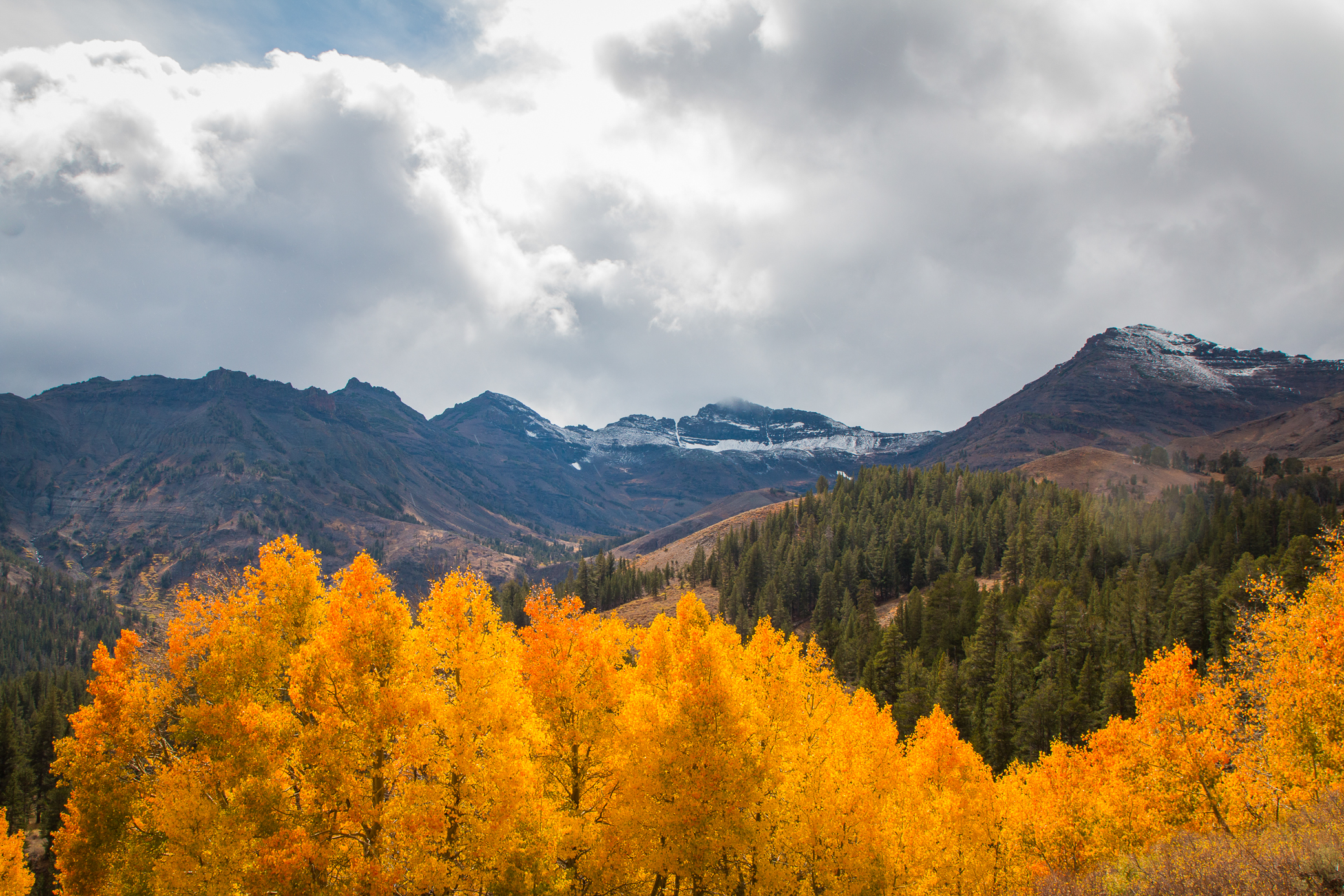 The Week That Was “Fantastic!” – California Fall Color