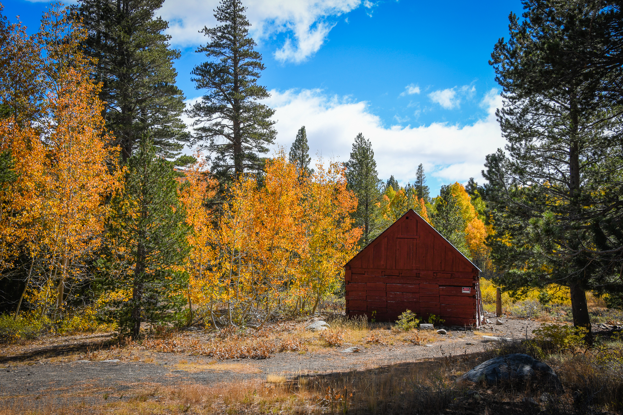 Carson Pass and Hope Valley – California Fall Color