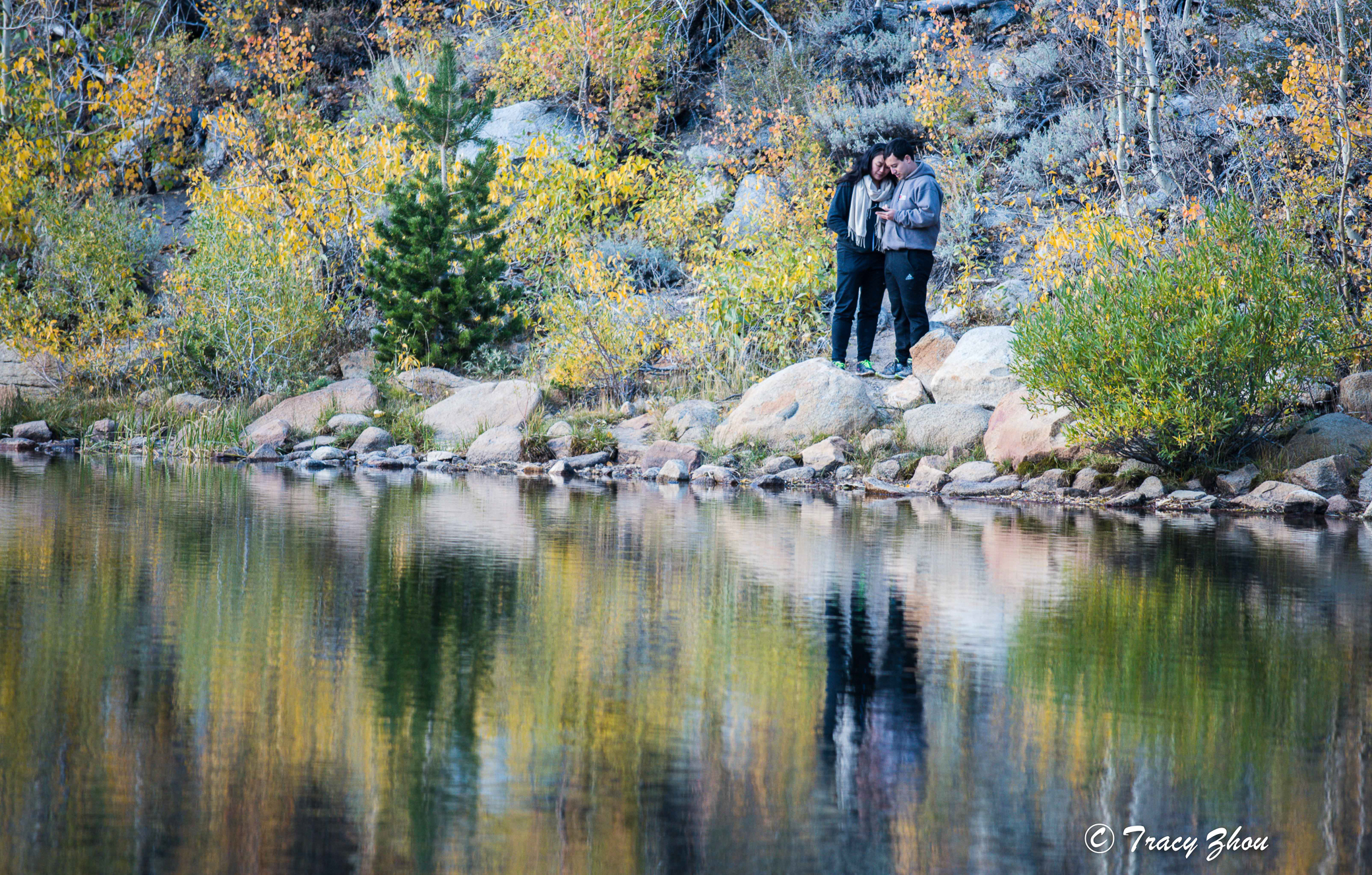 Bishop Creek’s Over The Top – California Fall Color