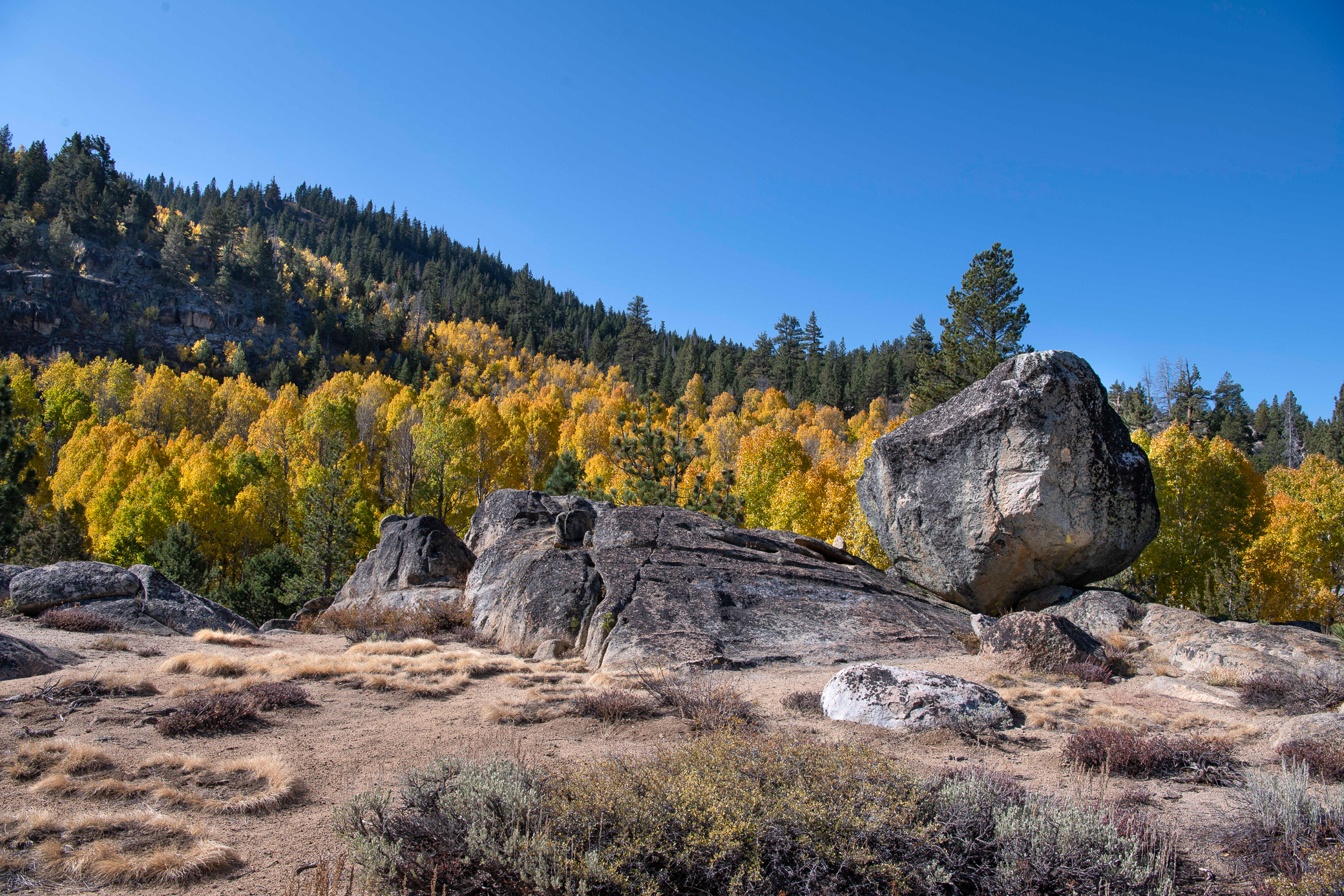 Fall Color Road Trip – California Fall Color