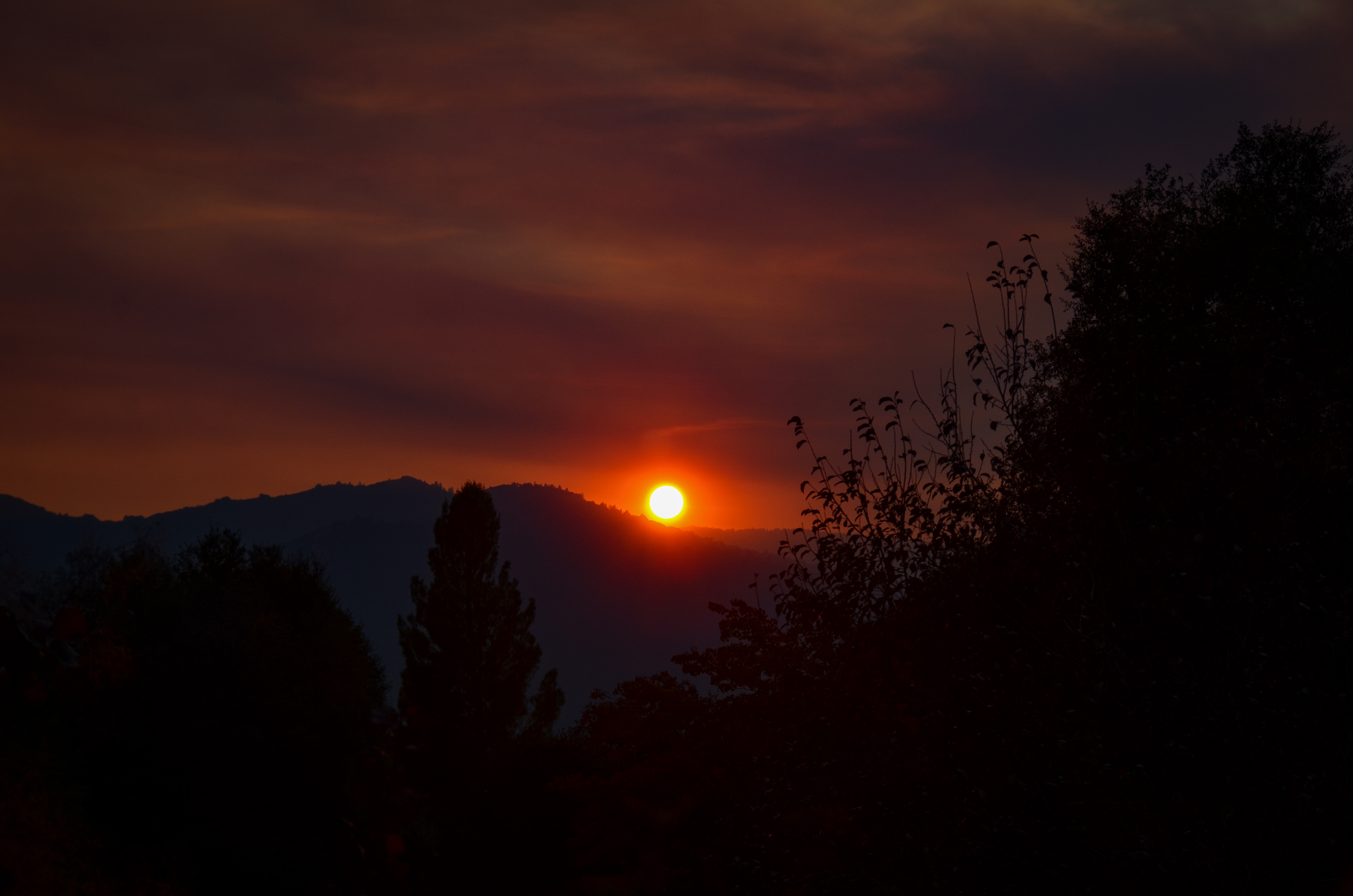 Sad Sunset – California Fall Color