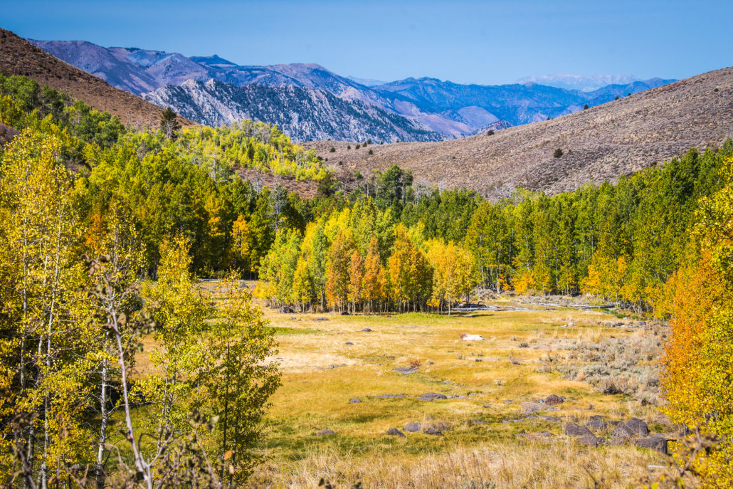 Lobdell Lake Road – California Fall Color