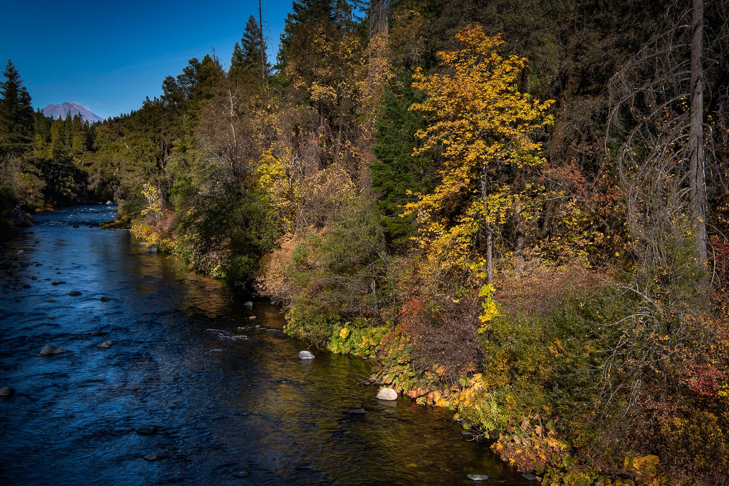 Hitting Hamburg – California Fall Color