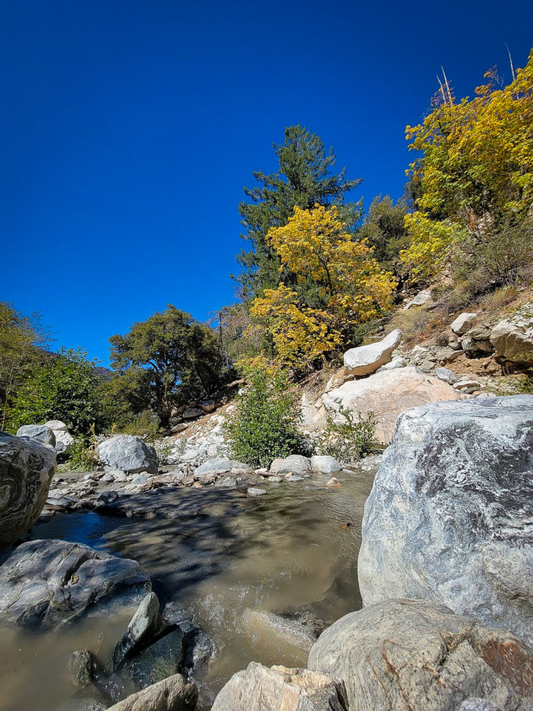 Forest Falls – California Fall Color