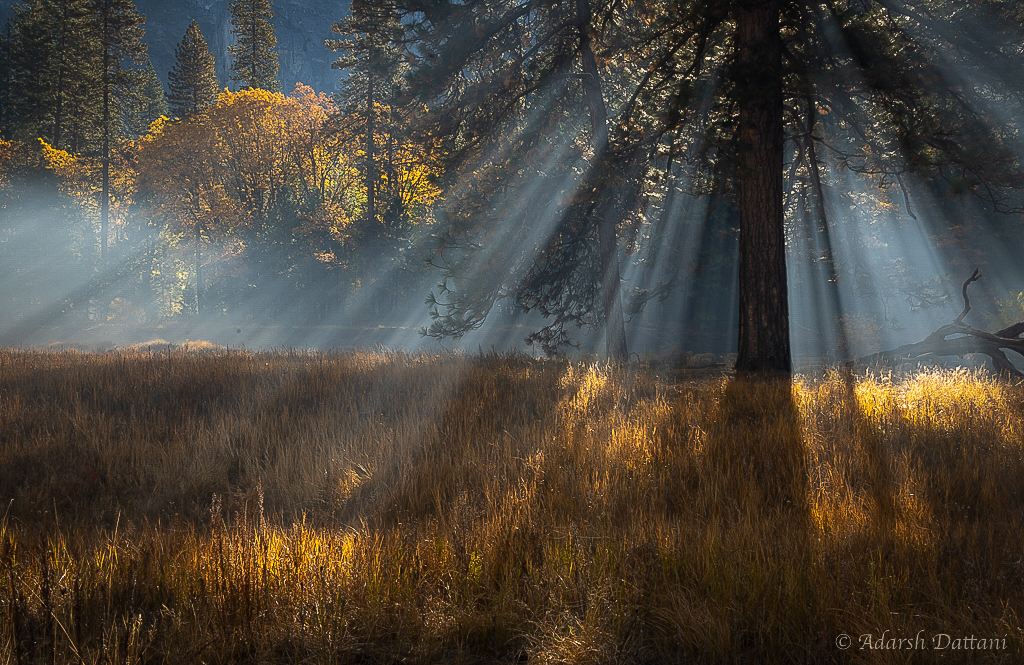 The Range of Light – California Fall Color