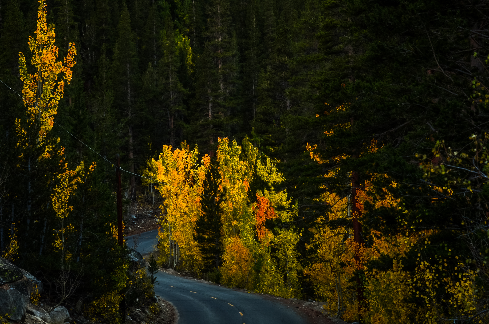 Color of the Week: Red – California Fall Color