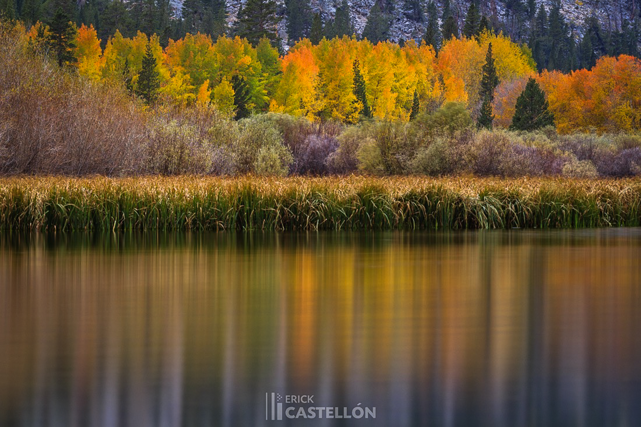Color of the Week: Red – California Fall Color